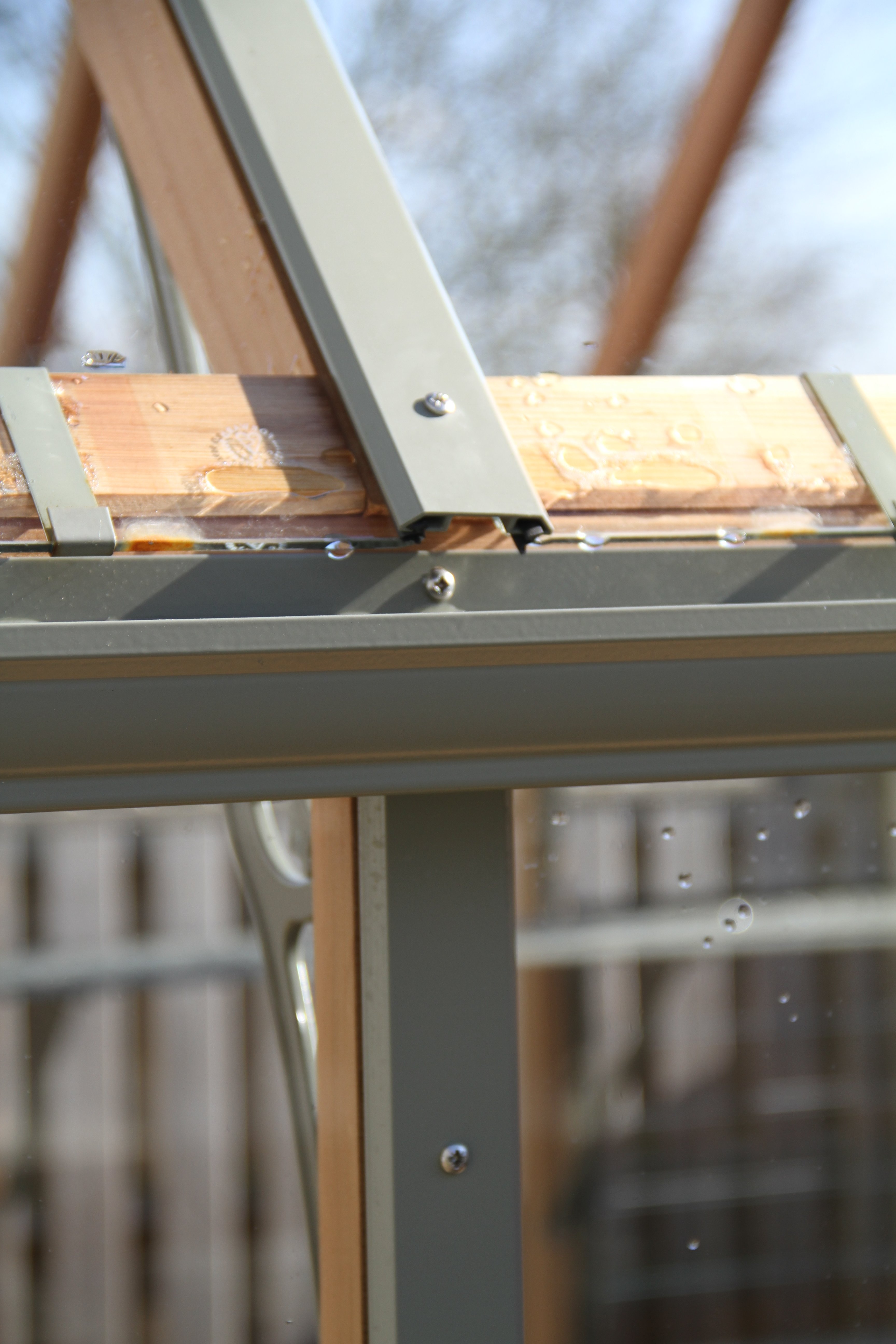 Alton Oakham Evolution 10ft x 16ft | The Greenhouse People